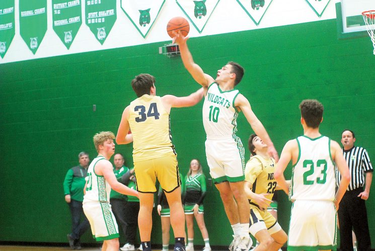 Wildcats, Tigers fall in sectional championships | News, Sports, Jobs - Marietta Times